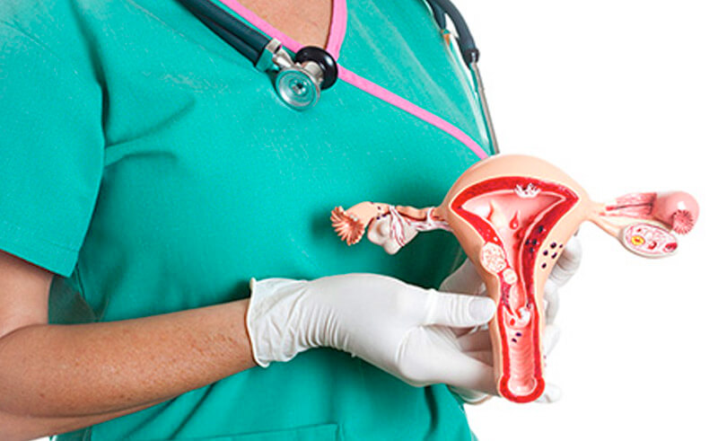 Endometrial Ablation - Gynecology Services Columbine Valley, CO ...